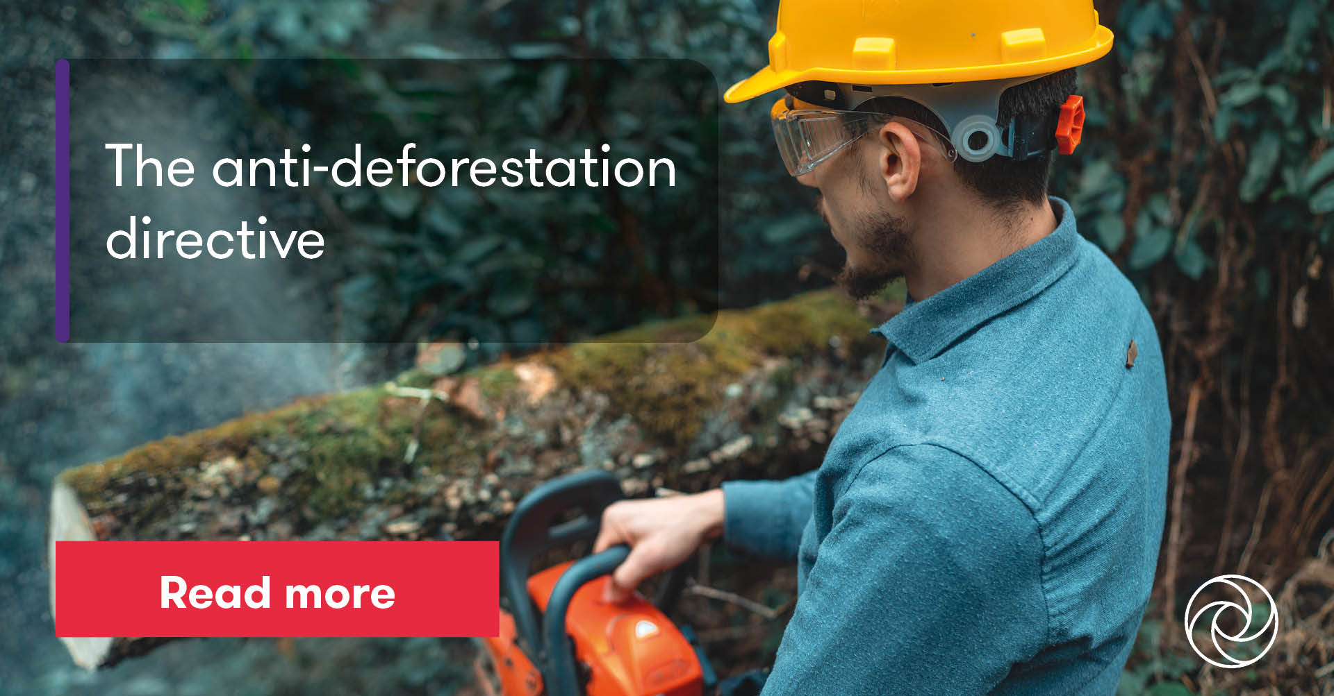 The anti-deforestation regulation: the trees, the forest and the impact ...