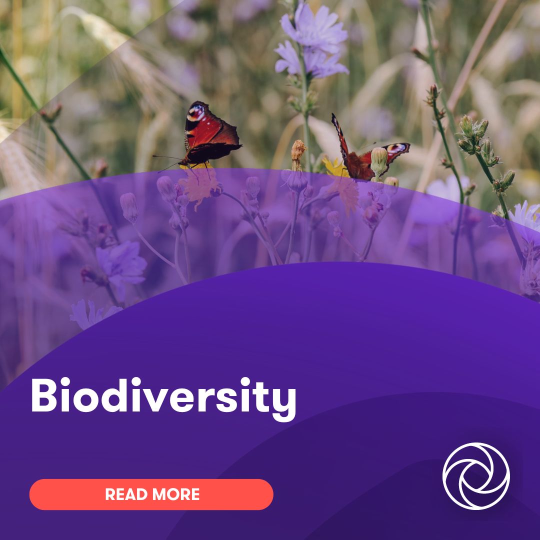 Improve your impact on biodiversity! | Grant Thornton